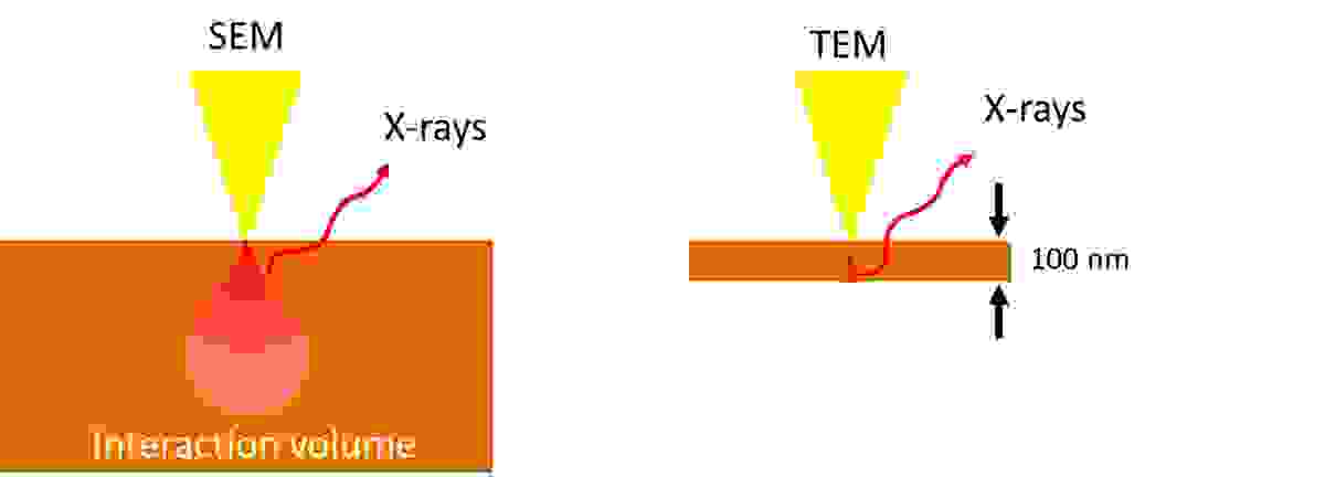 What makes TEM EDS different from SEM EDS? - Oxford Instruments