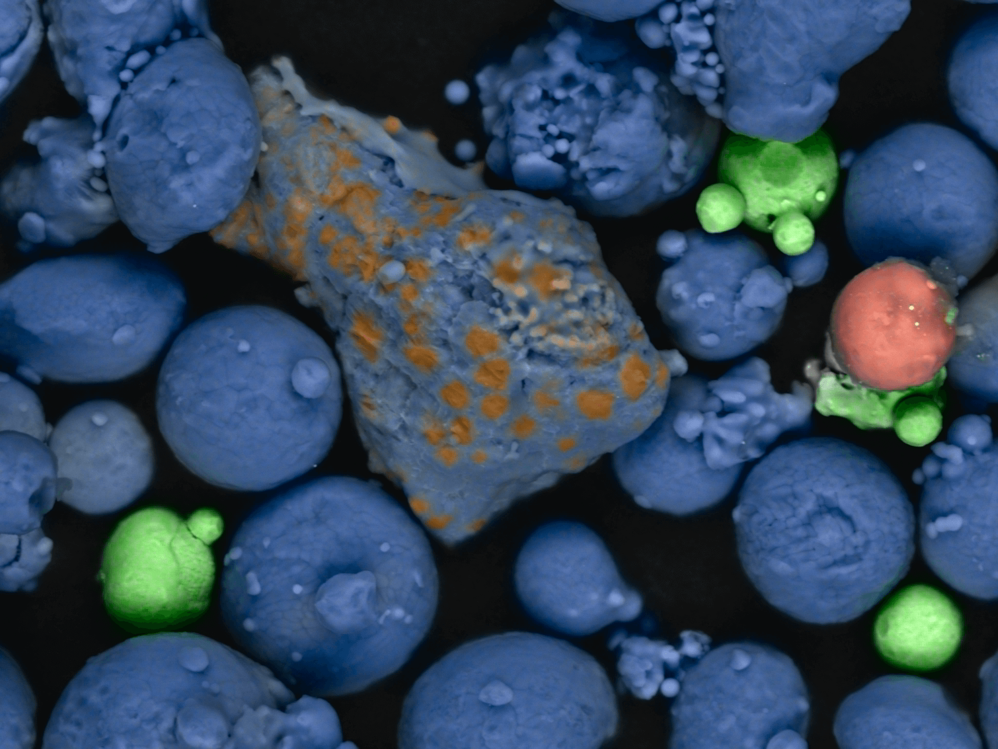 Backscattered Electron and X-ray (BEX) - Nanoanalysis - Oxford Instruments